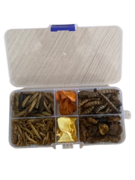 Eristore.cl - Todo para tus Erizos de Tierra